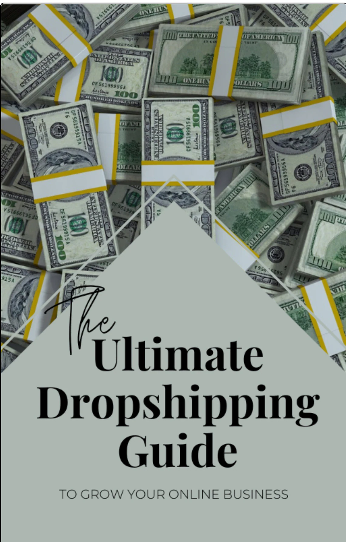 The Ultimate Guide to Starting Your Drop Shipping Business Successfully ...